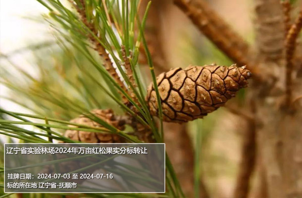 首页 - 权益云交易平台